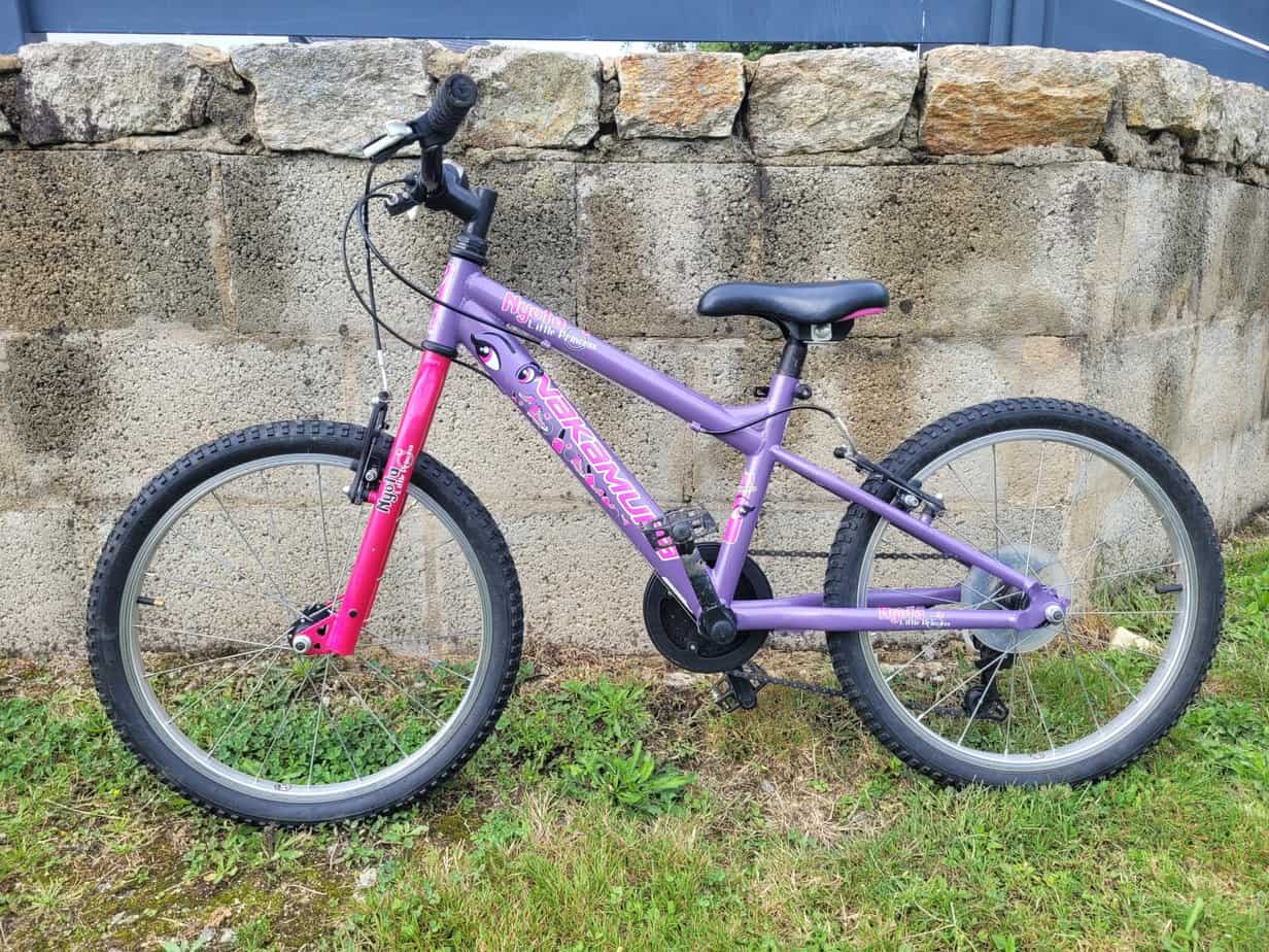 NAKAMURA NYOTA 20" Vélo fille occasion vélo enfant