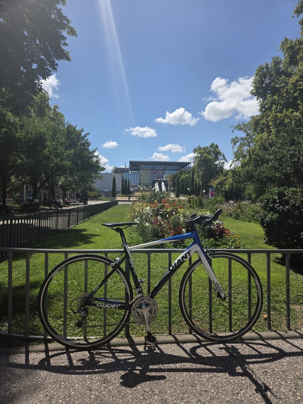 Vélo de route GIANT 2015 occasion reconditionné - VENDRE-SON-VELO.COM