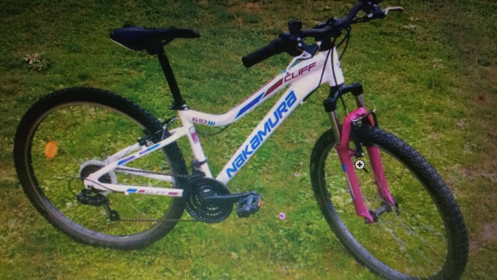 VTT Nakamura Rose bleu blanc femme Lyon volé à Lyon