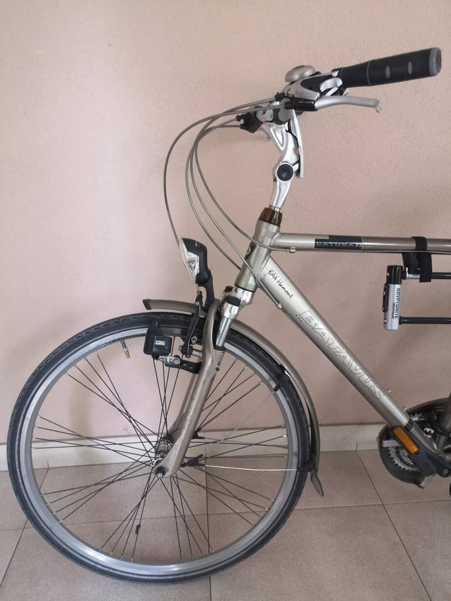 Batavus Cayuca 2020 vélo de ville hollandais occasion